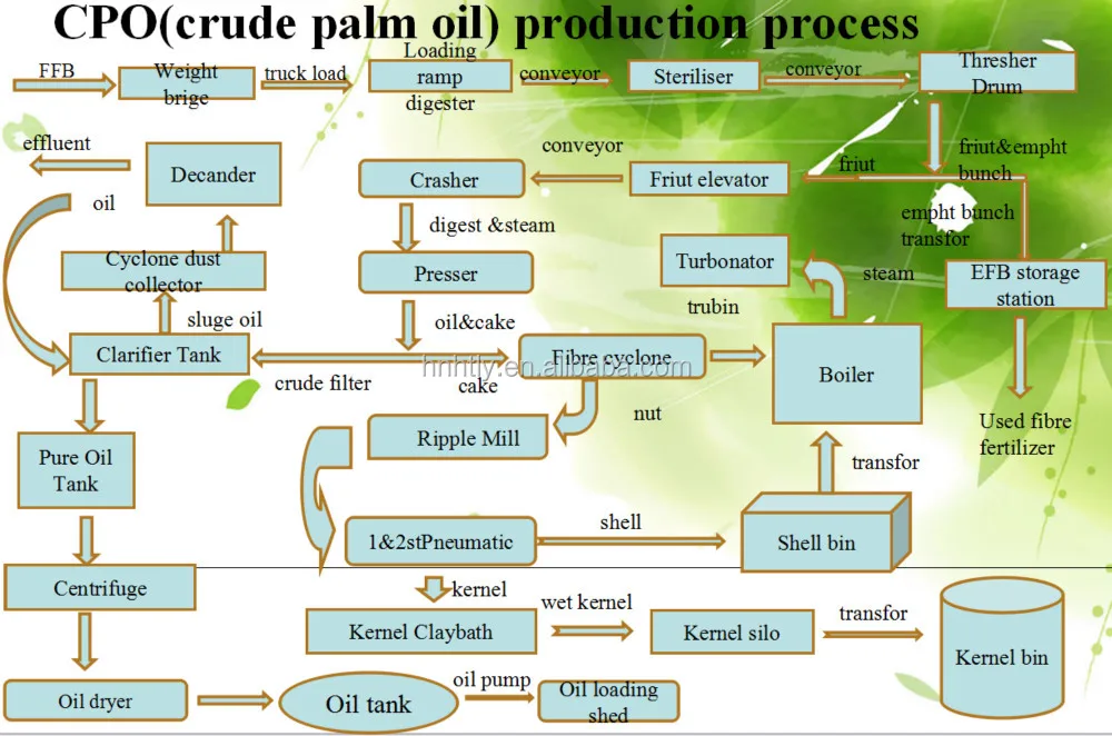 Proses Pengolahan Cpo Crude Palm Oil Minyak Kelapa Sa - vrogue.co Proses Pengolahan Cpo Crude Palm Oil Minyak Kelapa Sa - vrogue.co