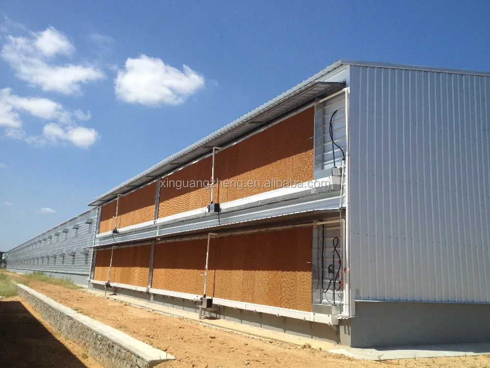 Poultry Farming In India Modern Farming Methods