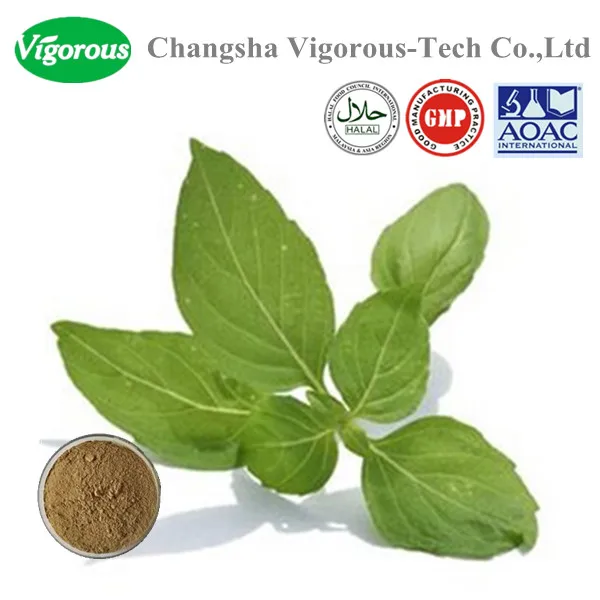 High Quality Holy Basil Extract/favorable Ocimum Basilicum Powder - Buy ...