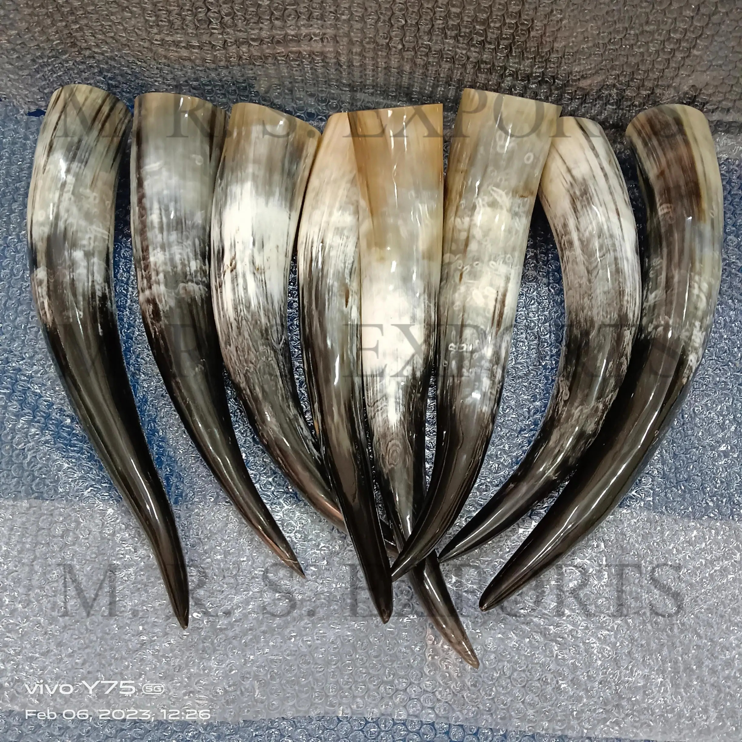 2024 New Design Ox Horns Viking Drinking Horns Food Safe Polished Glass ...