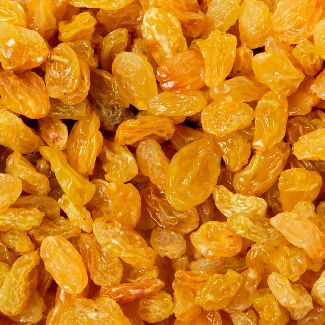 Premium Quality Natural Organic Top Grade Golden Raisins /yellow ...