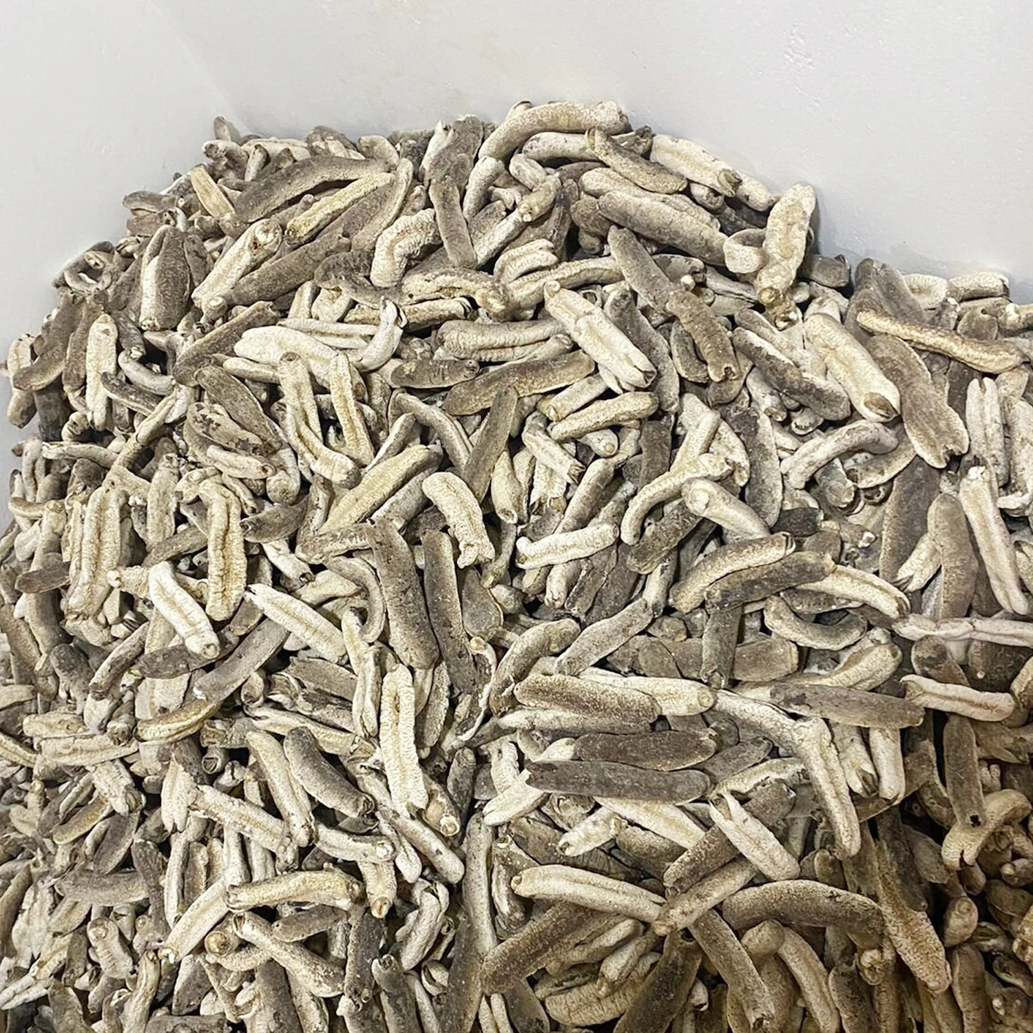 Sri Lankan Sea Cucumber - Natural Sun Dried Sand Fish