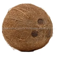 Fresh Semi Husked Coconut Available For Sale - Buy Fresh Mature Coconut ...