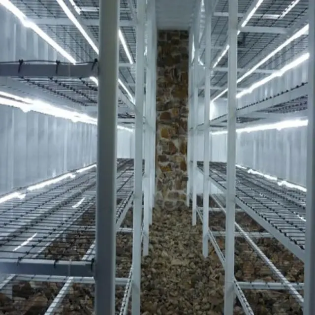 Cactus Mushroom Growing Prefab Chamber Modular Prefab Mushroom Cabin ...