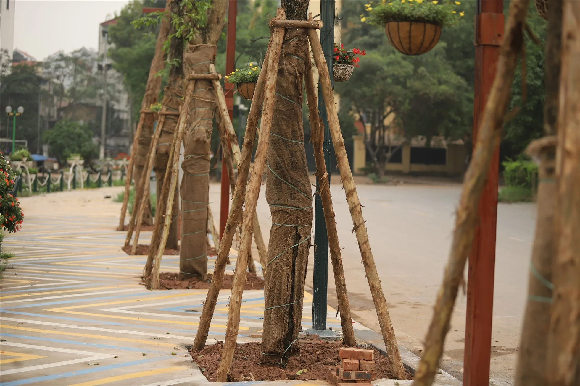 Wooden Stick Supporting Planted-trees Supports Plant Growth - Buy ...