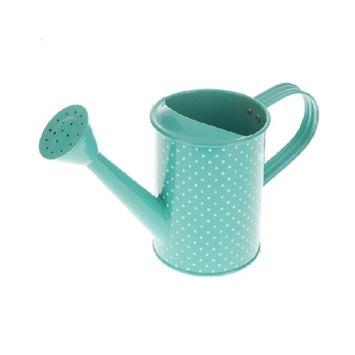 Garden Decorative Metal Galvanized Watering Cane Silver & Brown Color ...