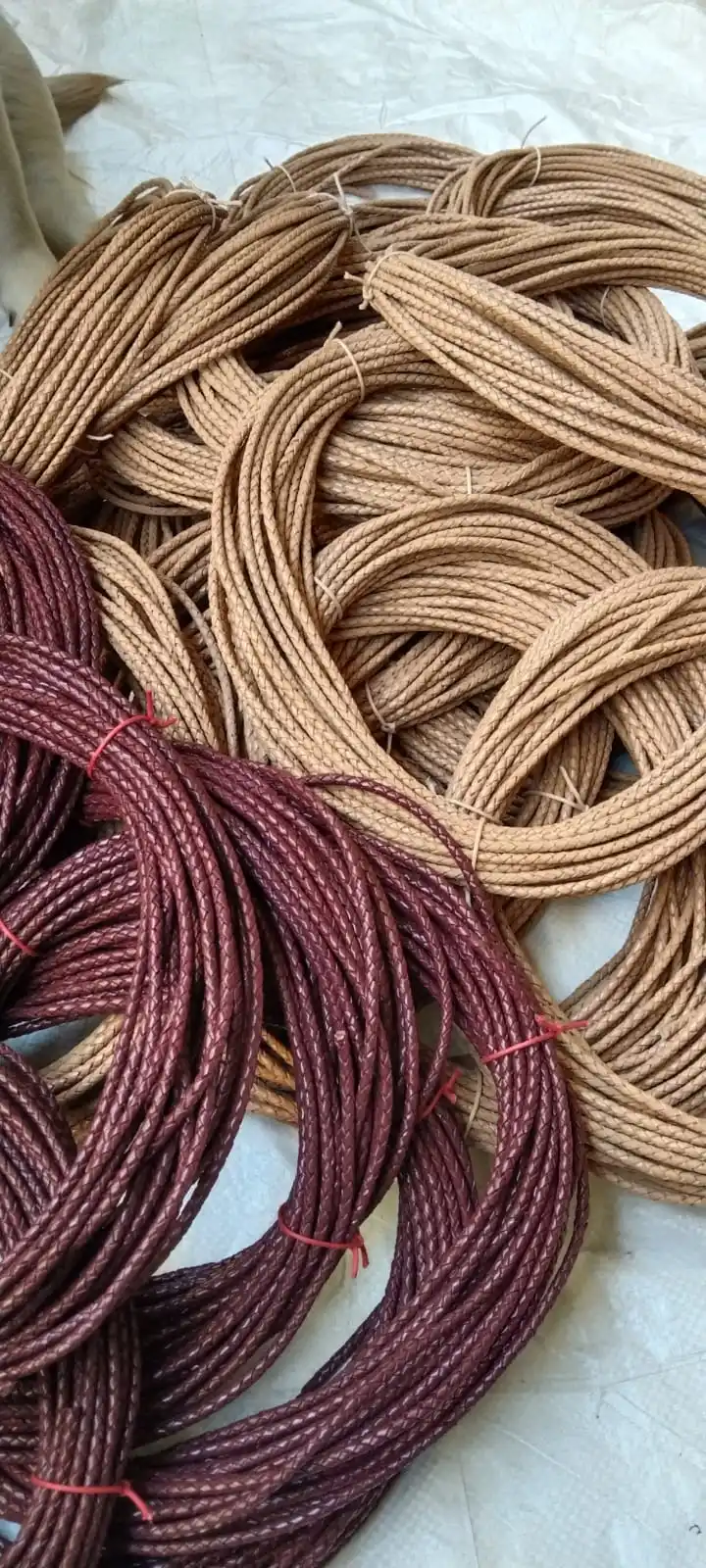 Custom Made Leather Whips for Horse Riding Institutes