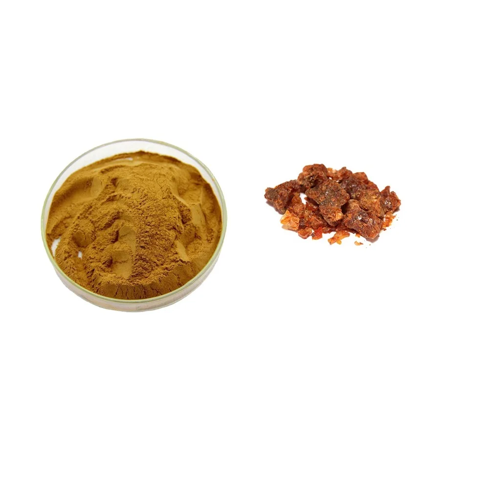 Commiphora Mukul (Guggul) Resin Extract | Guggul Extract Powder ...