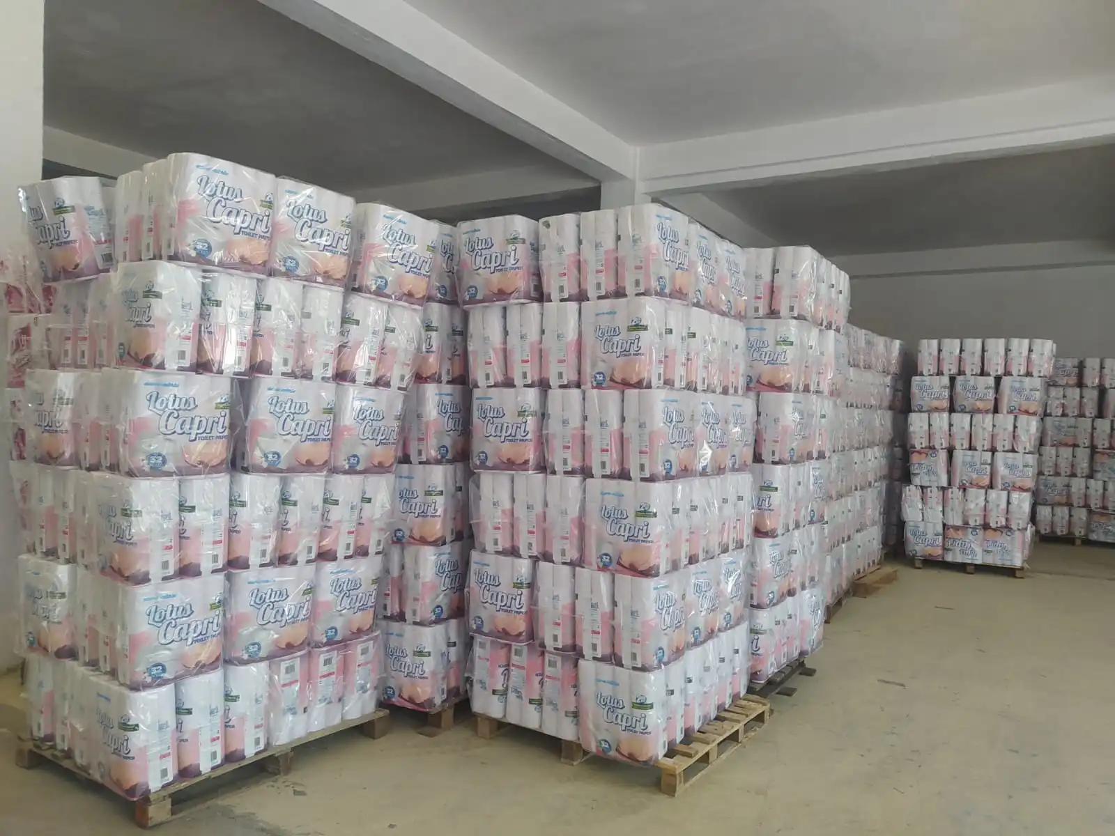 Lotus Ella Toilet Paper 2ply 32rolls High Quality Toilet Paper ...