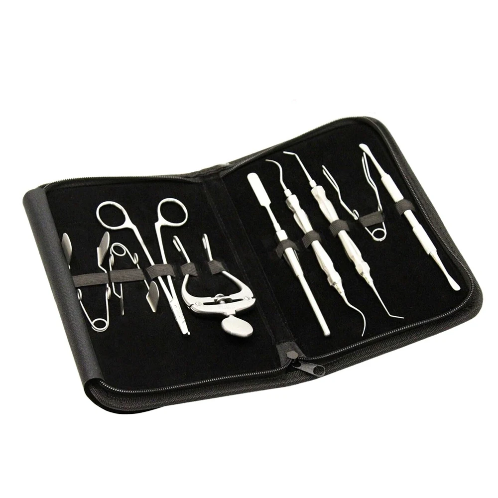 Dental Instruments Set Rabbit & Rodent 9 Pcs Set Complete Kit With ...