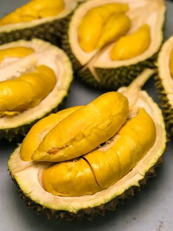 Best Seller Frozen Durian // Product From Vietnam // Ms. Jennie (+84 ...