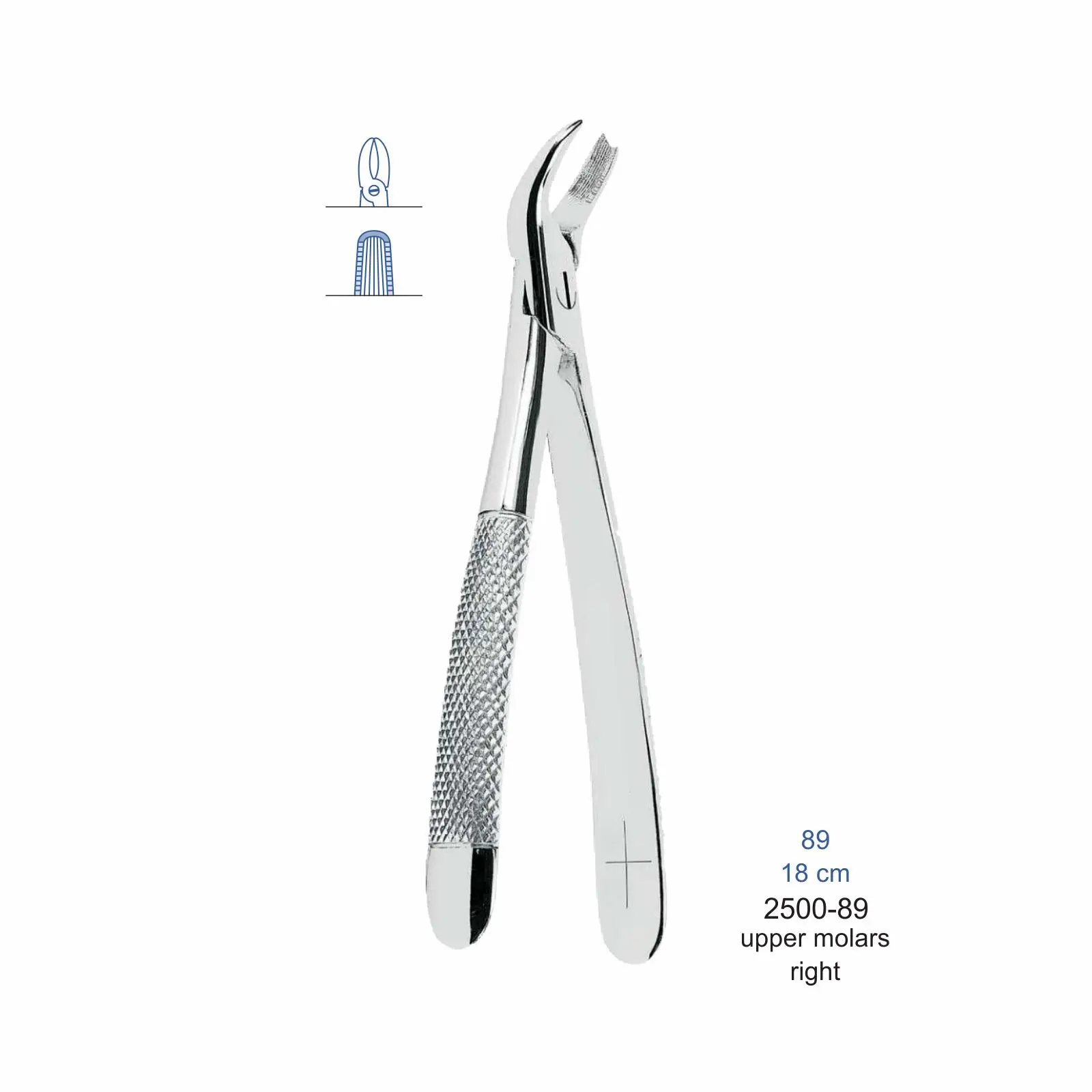 Extracting Forceps Serrated Tips Fig 89 - Buy Extracting Forceps ...