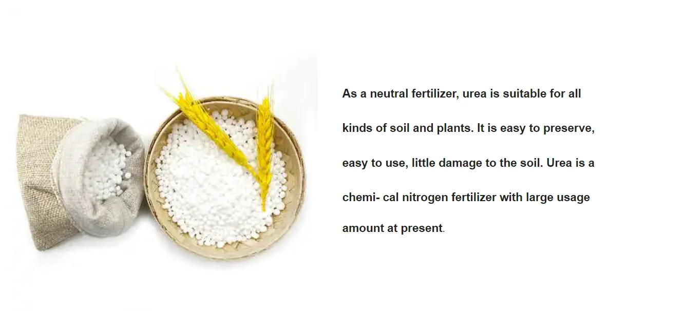 Fertilizer Map Ammofos Urea Nitrogen Ammonium Dihydrogen Phosphate Map ...