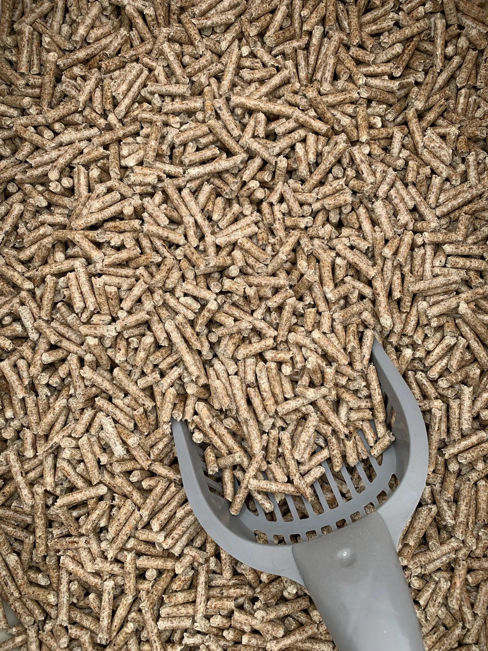High Quality Pine Wood Pellets/ Rice Husk Pellets For Fuel With Best ...