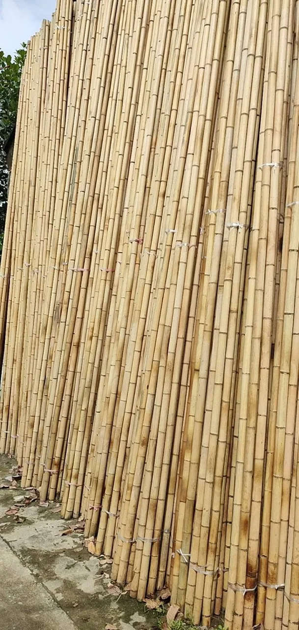 High Quality Vietnam Bamboo Cane Dried Bamboo Poles For Gardening ...
