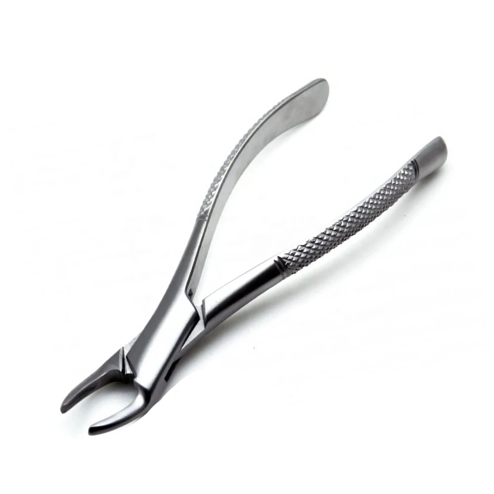 Dental Extracting Forceps No 150 - Surgical Precision