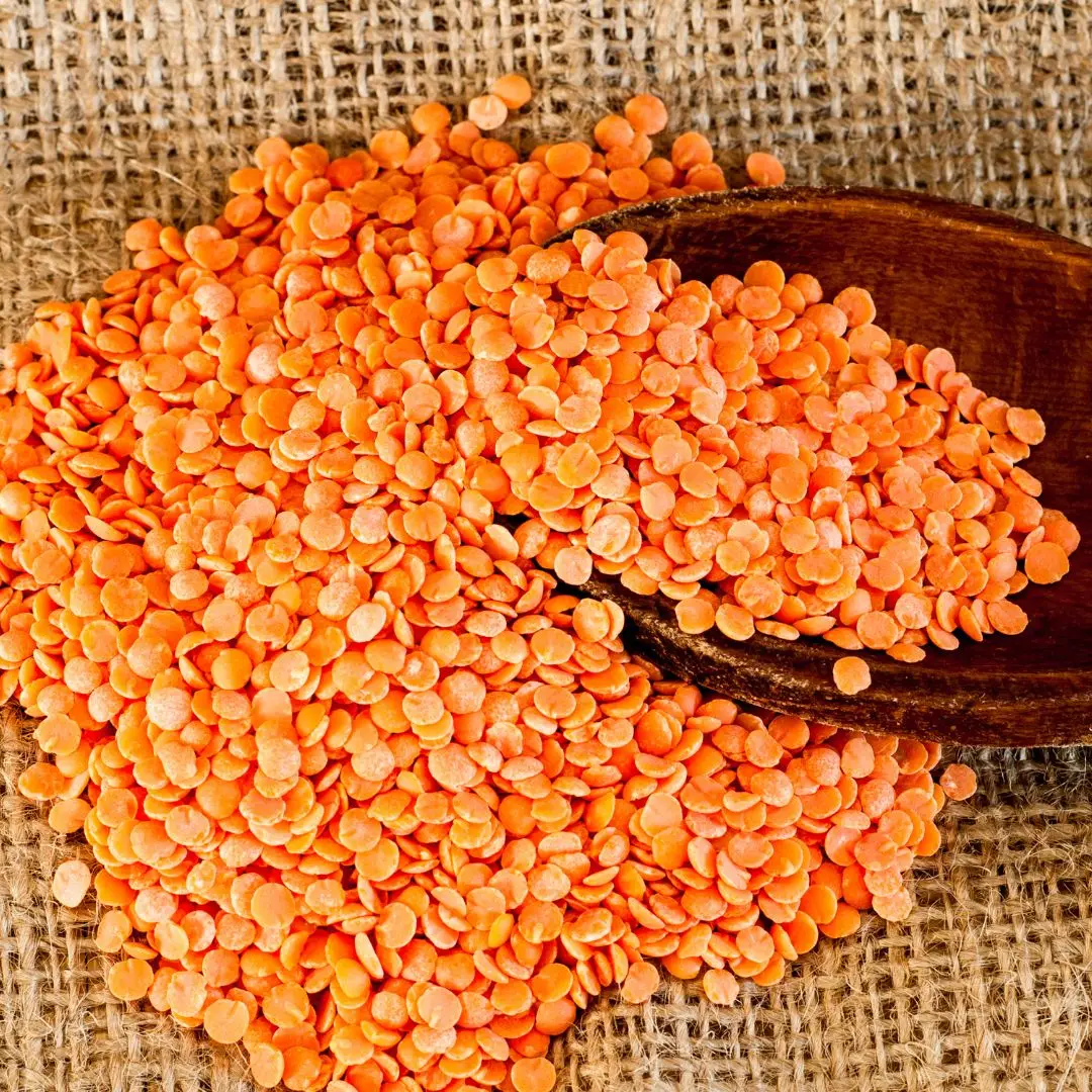 Indian Grade Dried Masoor Dhal Hot Selling 2022 Organic Dried Masoor Dhal From India Buy