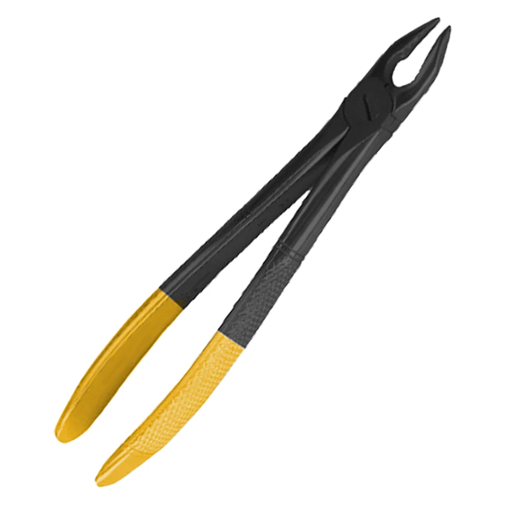 Dental Extraction Forceps - High Quality Surgical Instruments