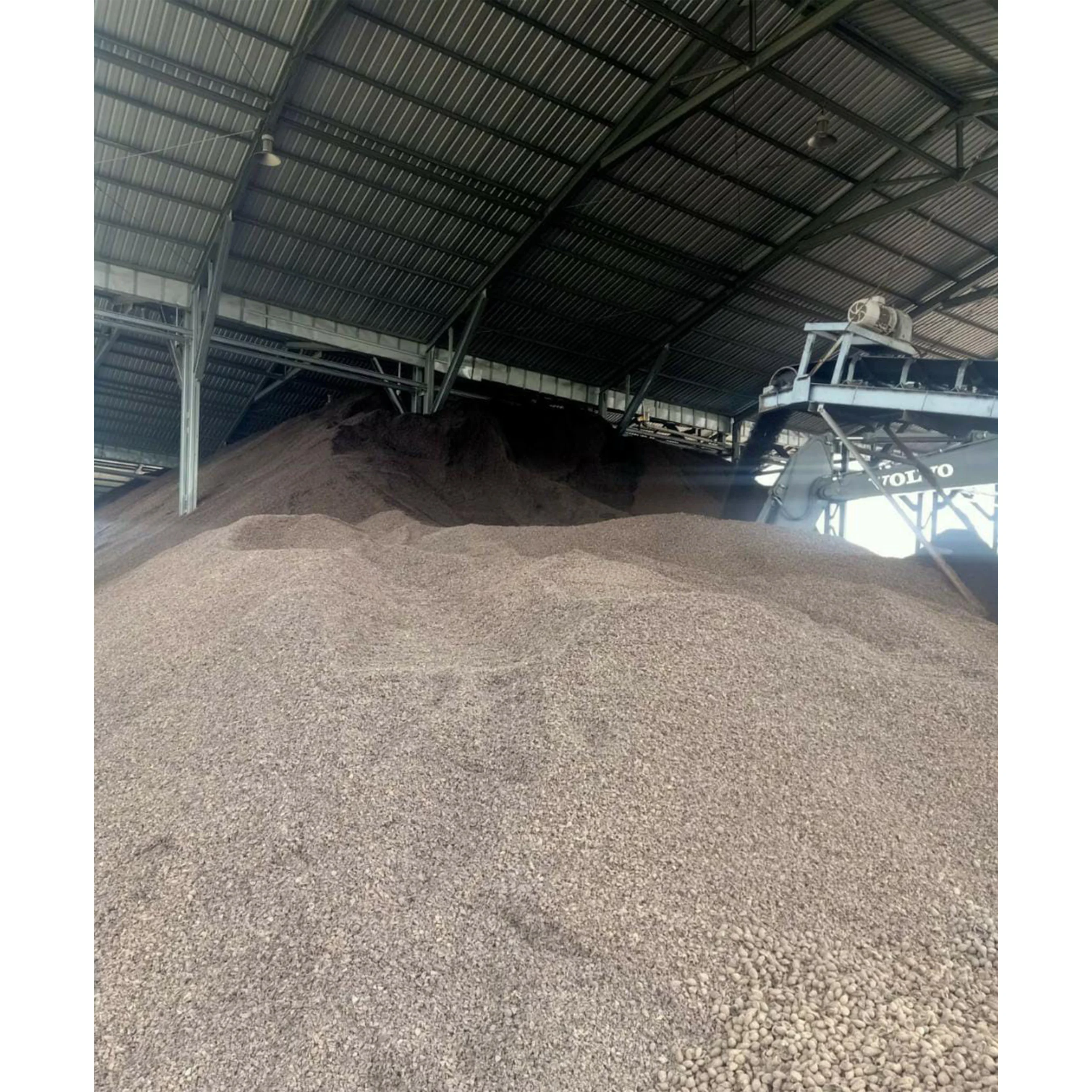 Palm Kernel Shell from Sustainable Sources Indonesia-Derived ...