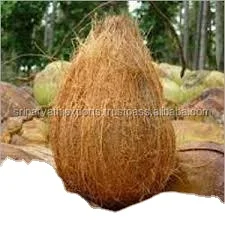 Fresh Semi Husked Coconut Available For Sale - Buy Fresh Mature Coconut ...