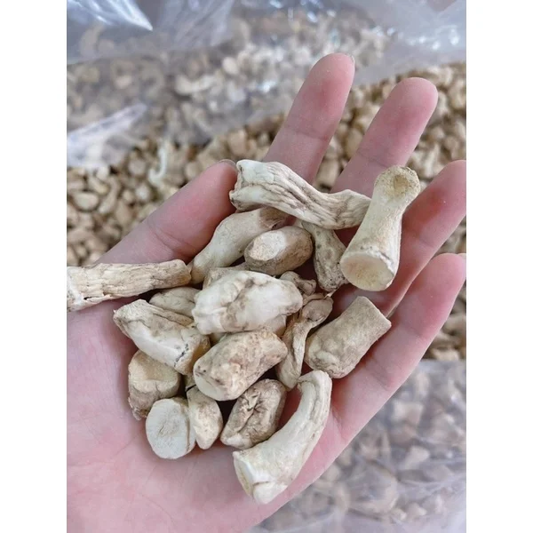 Dried Shiitake Mushroom Fungus Stem - Hight Quality - Best Price // Ms ...