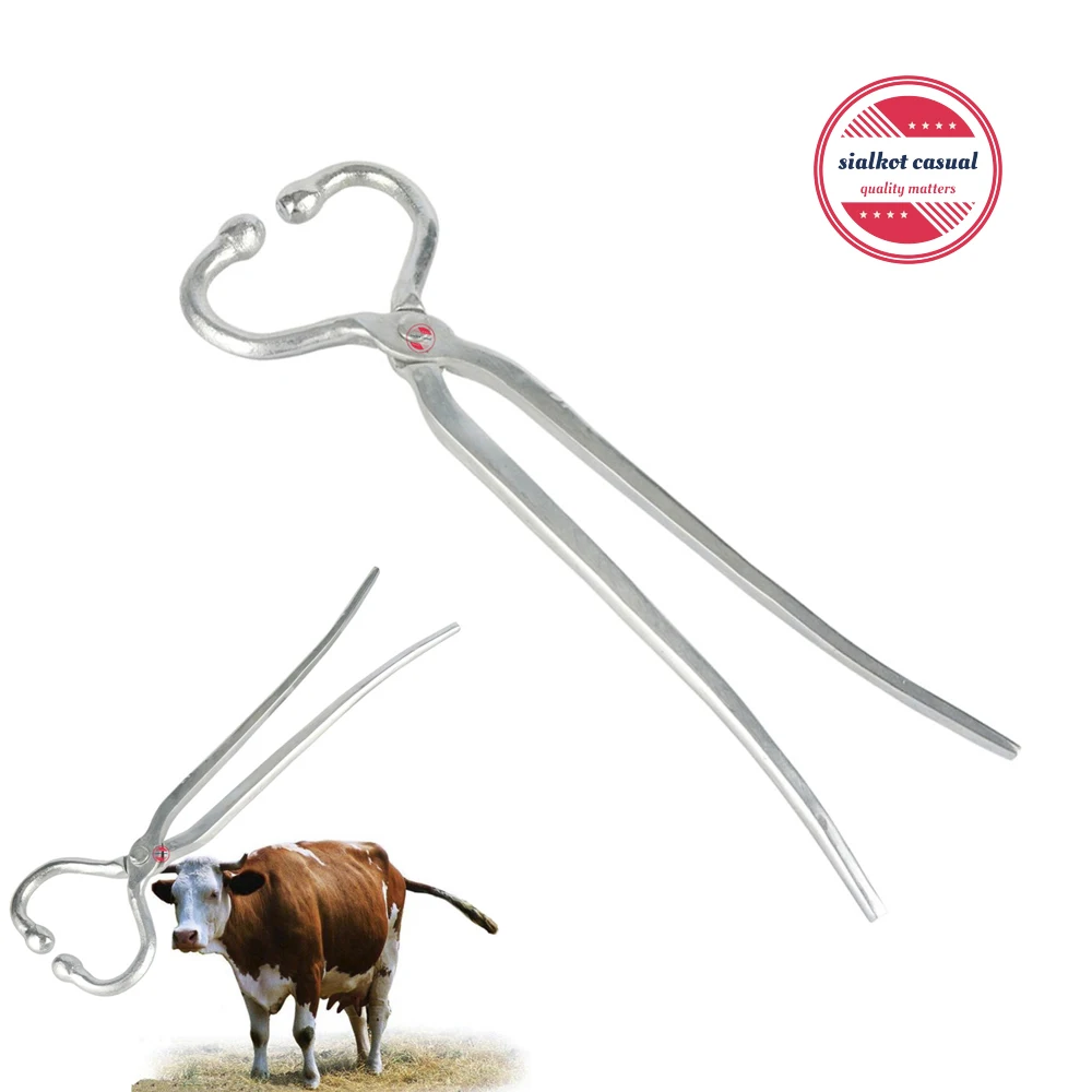 Bull Holder with Spiral Spring - Veterinary Tool for Cows