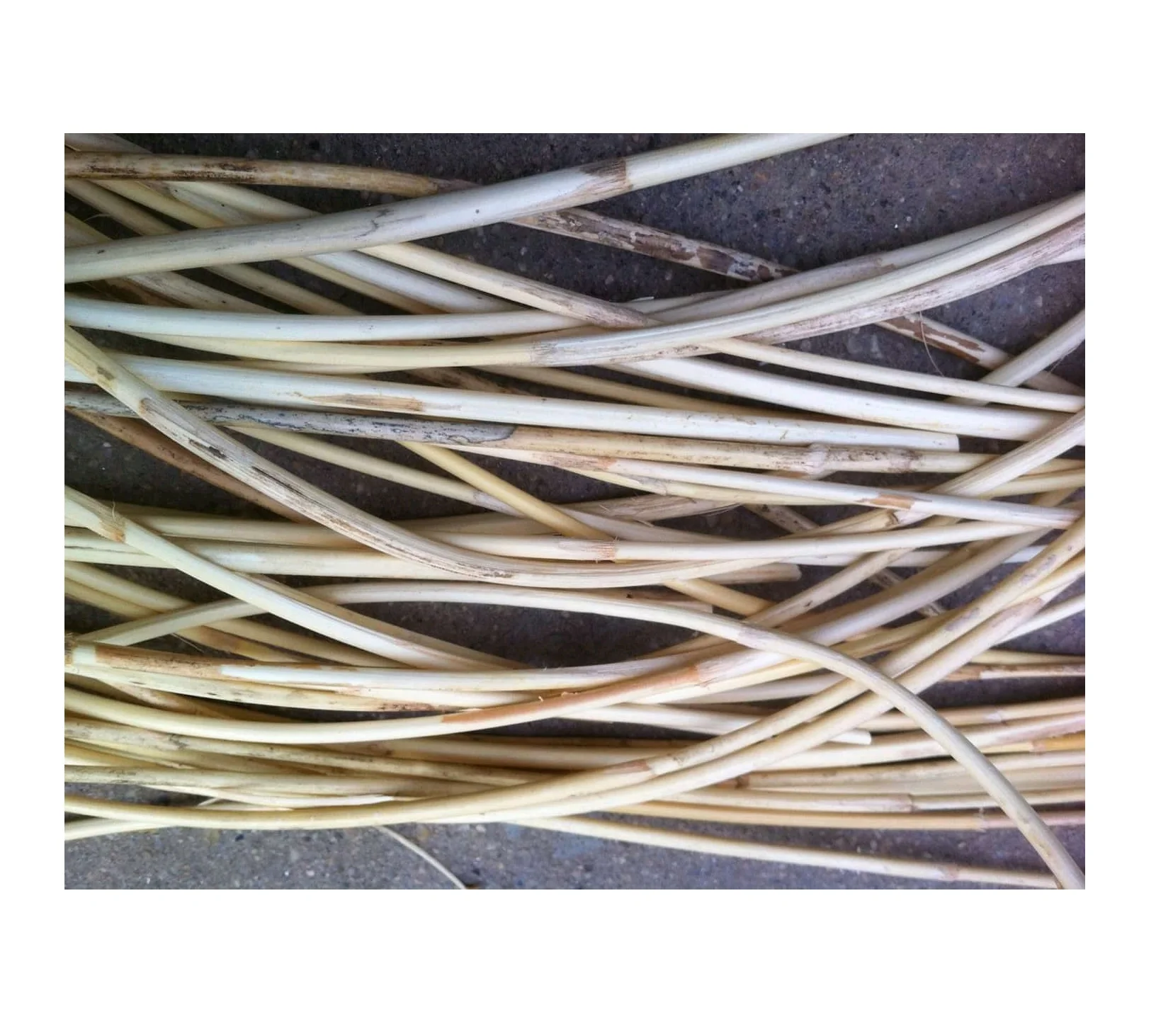 BEST QUALITY RATTAN CANE FROM VIETNAM| Alibaba.com