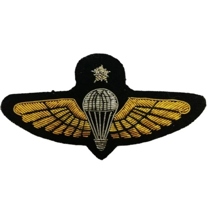 Top Quality 2d 3d Plated Badges Aviation Airline Airbus Wings Pilot ...
