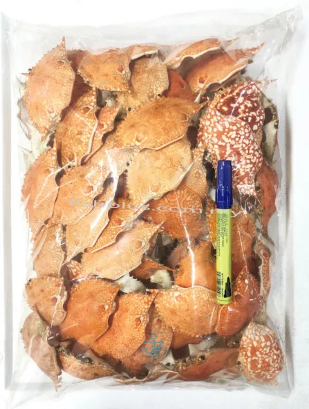 Crab Shells For Food / Crab Shells For Decoration / Crab Shell ...