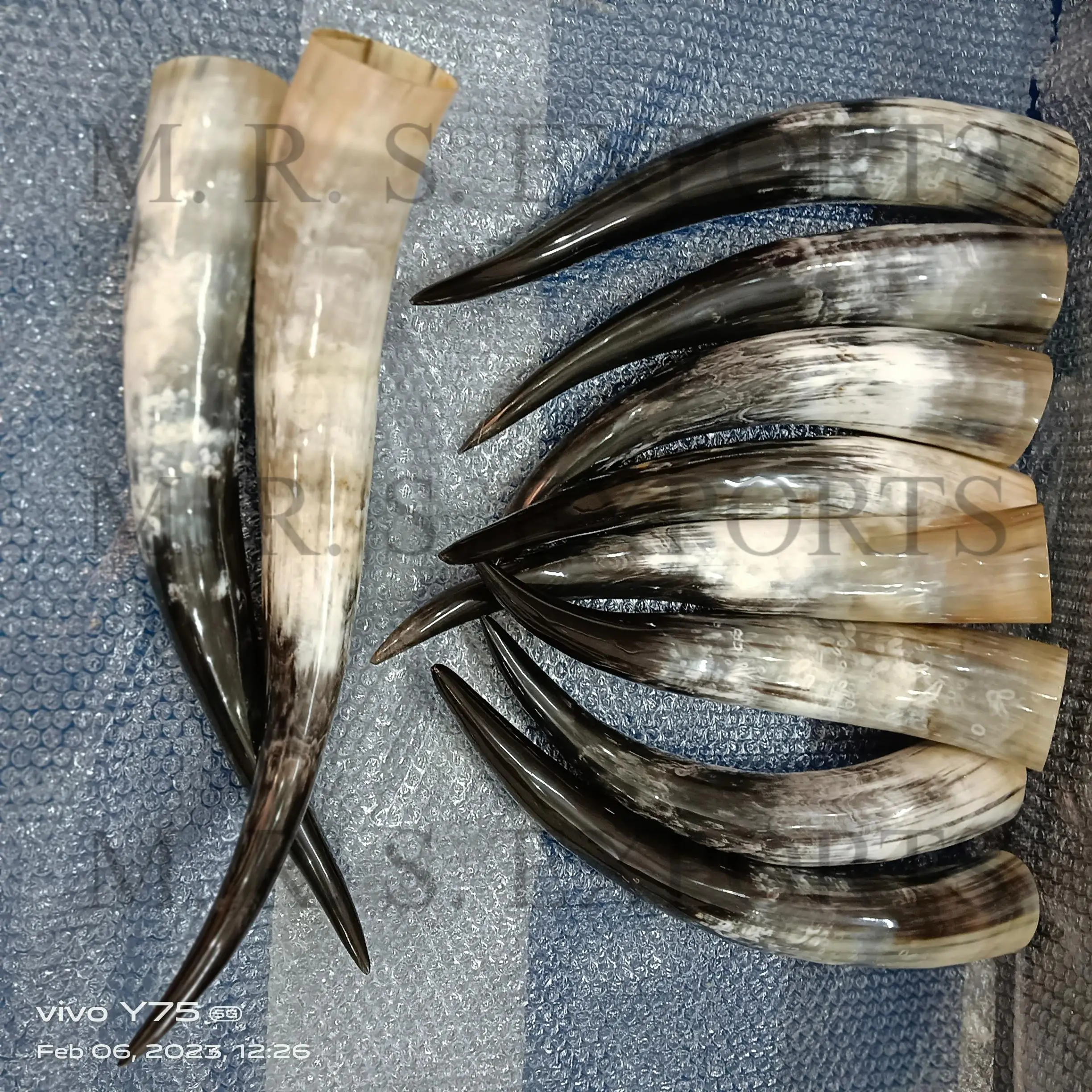 2024 New Design Ox Horns Viking Drinking Horns Food Safe Polished Glass ...