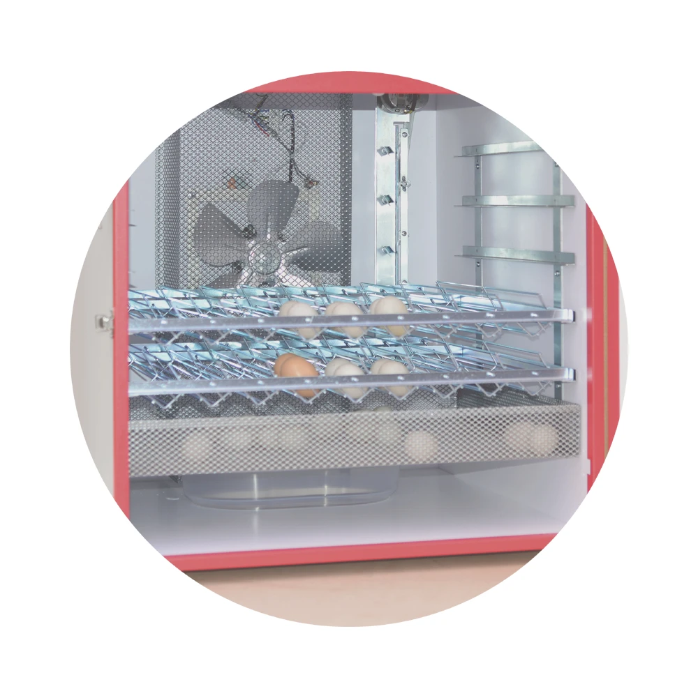 Premium Medium Sized Ce Fully Automatic Incubator And Hatcher 540 ...