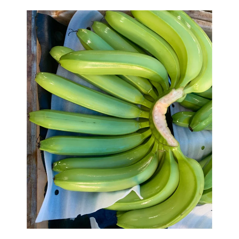 Fresh Cavendish Bananas from Vietnam - High Quality Fruit