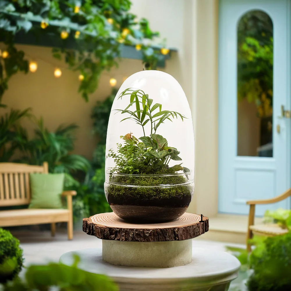 Egg-shaped Glass Terrarium Wholesale Home Decor Handicraft Plant ...