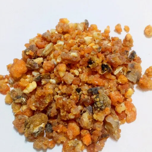 Ferula Gummosa - Buy Galbanum,Galbaniflua,Ferula Rubricaulis Product on ...
