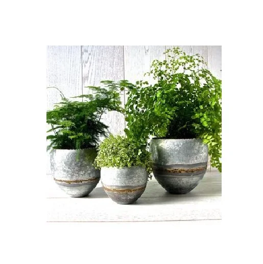 Metal Planters Small Galvanized Flower Pots Decorative Modern Outdoor ...