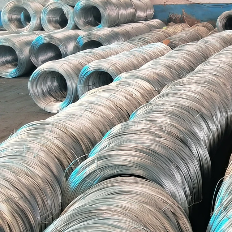 Electro Galvanized Iron Binding Wire Mesh Roll Available At Low Price