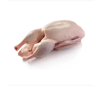 Halal Frozen Whole Duck / Frozen Duck / Frozen Whole Duck Without Offal ...