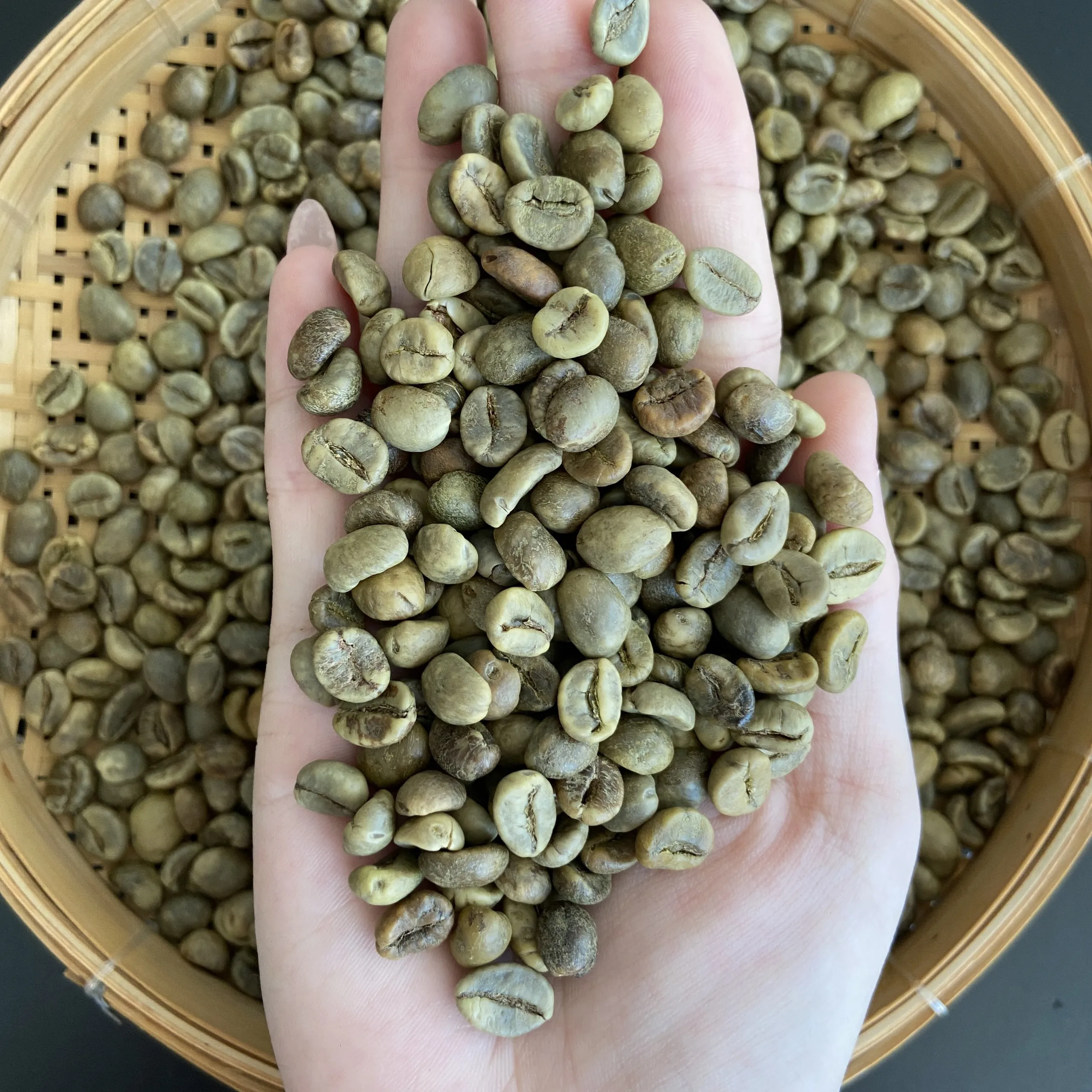 Vietnam Robusta Coffee Bean Scr 13,16,18 100% Natural Arabica Coffee Bean Attractive Flavor ...