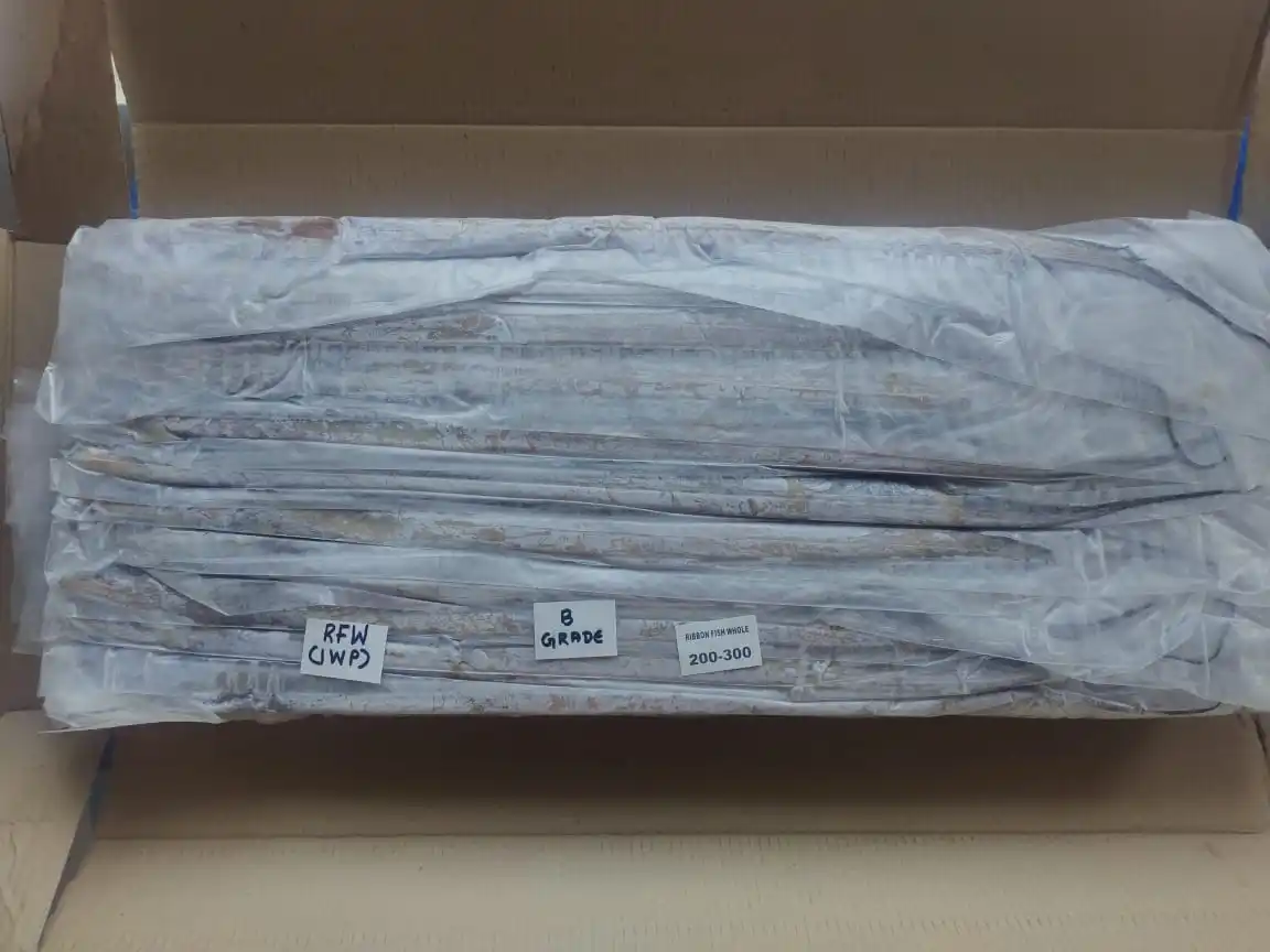 冷冻全丝带鱼b级iwp包装优质材料价格合理 - Buy 鲯鳅鱼带鱼整个,价格对带鱼冷冻鲯鳅鱼,带鱼价格b级带鱼 Product on ...