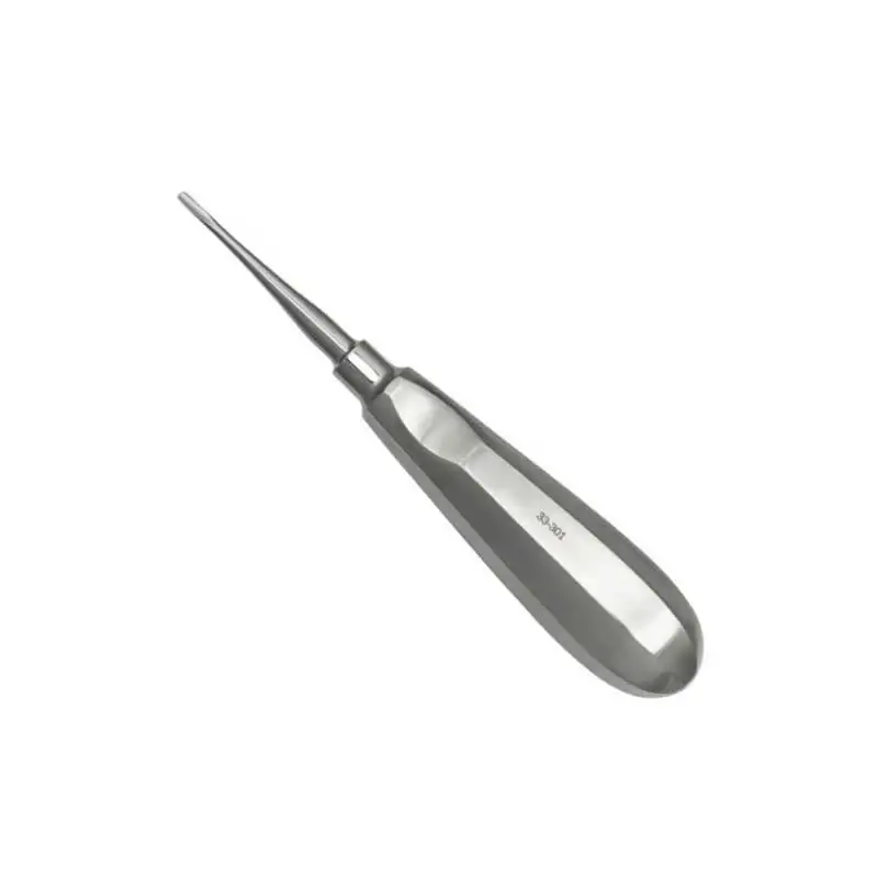 Stainless Steel Dental Instruments - Professional Quality