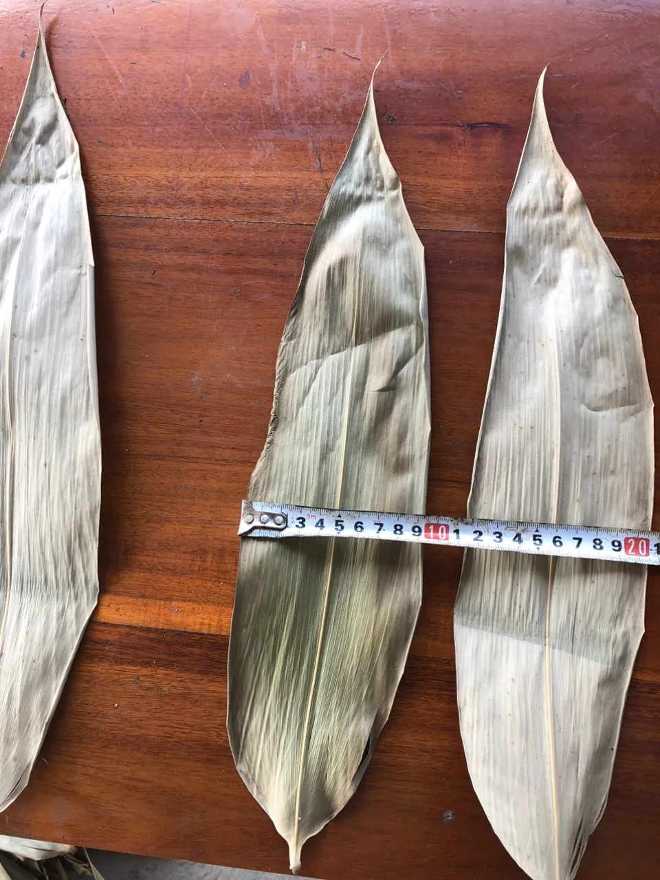 Wholesale Natural Organic Raw Dried Bamboo Leaves Vietnam Original Wild ...