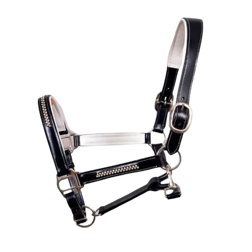 Newly Designed Genuine Leather Dressage Horse Halters with Crystal ...