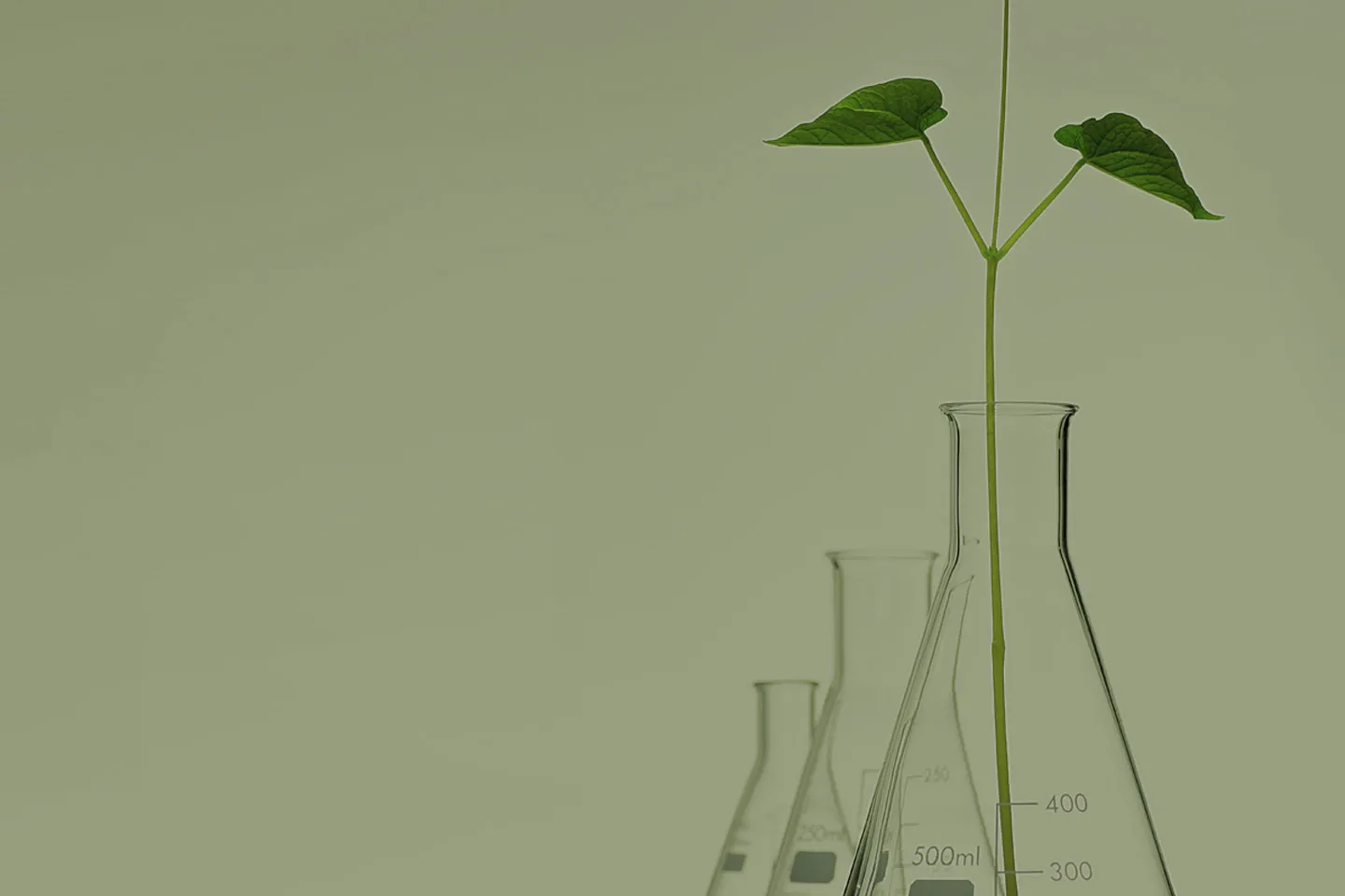 High Quality Natural Organic Kelpak Liquid Seaweed Extract