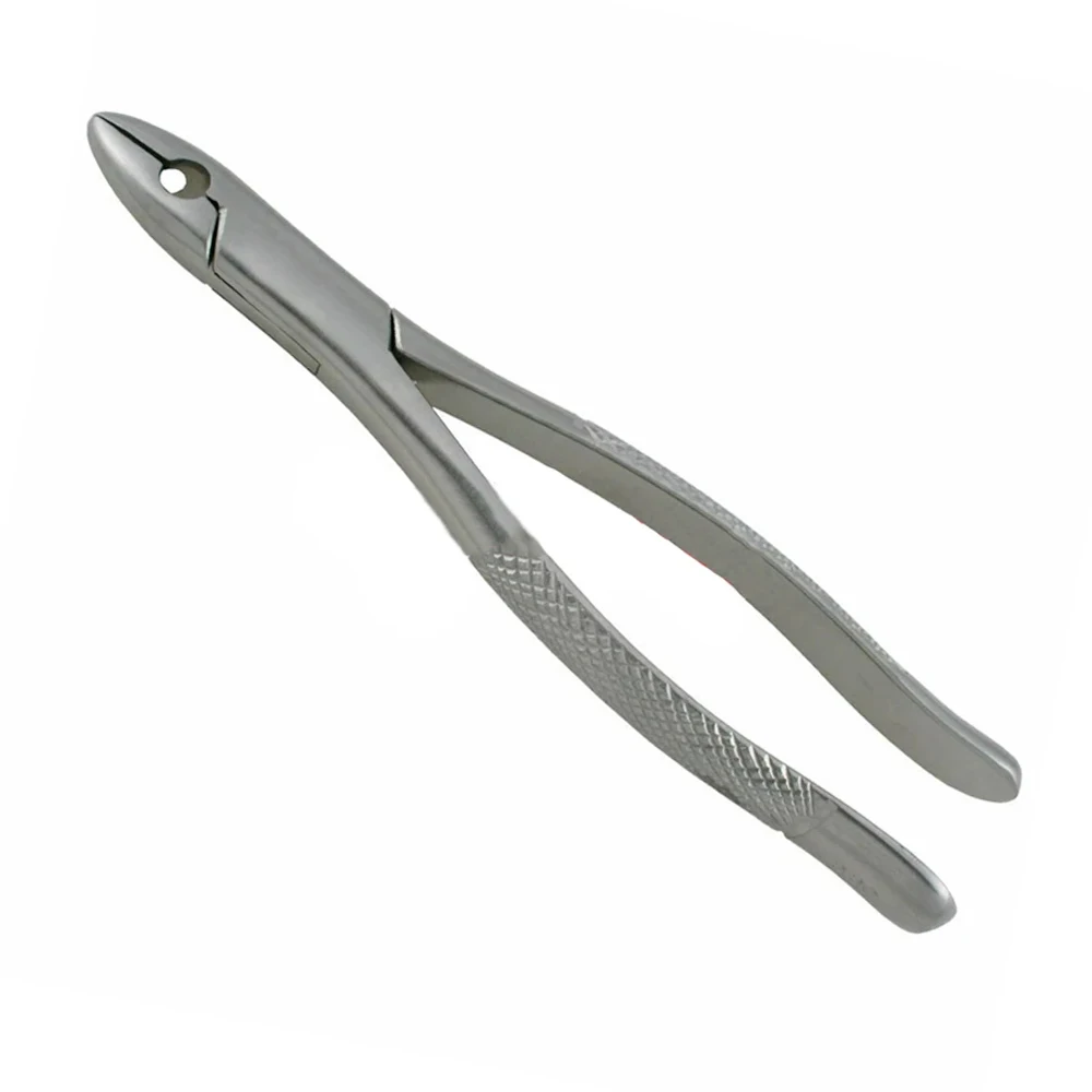Dental Extraction Tooth Forceps No 99c Dentistry Roots Extractions High ...