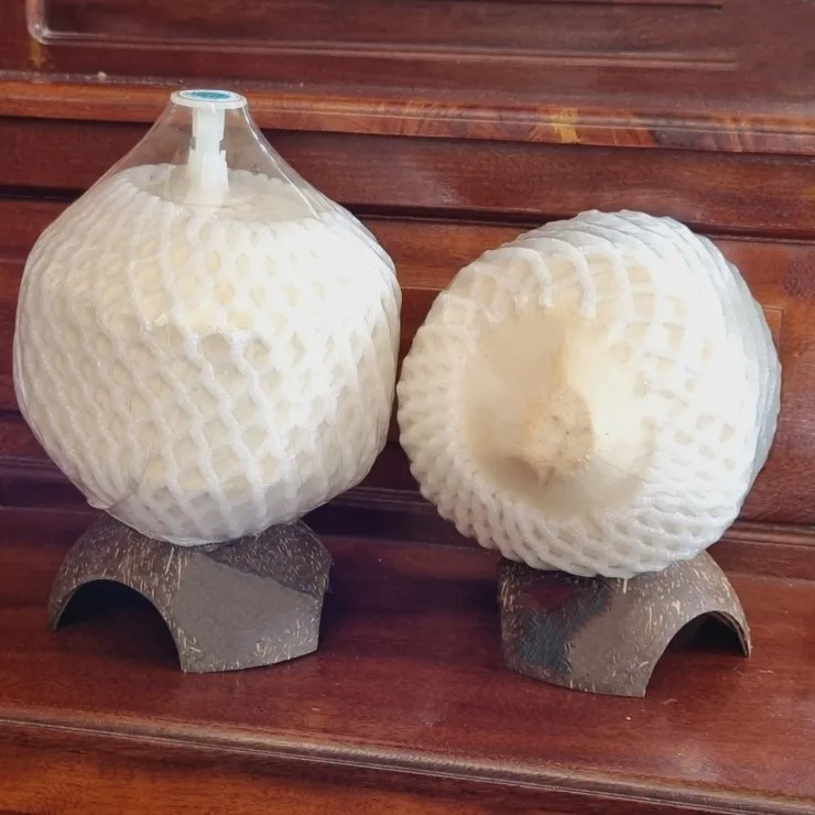 Carton Package Peeled Diamond Coconut Fresh Young Diamond Coconut with ...