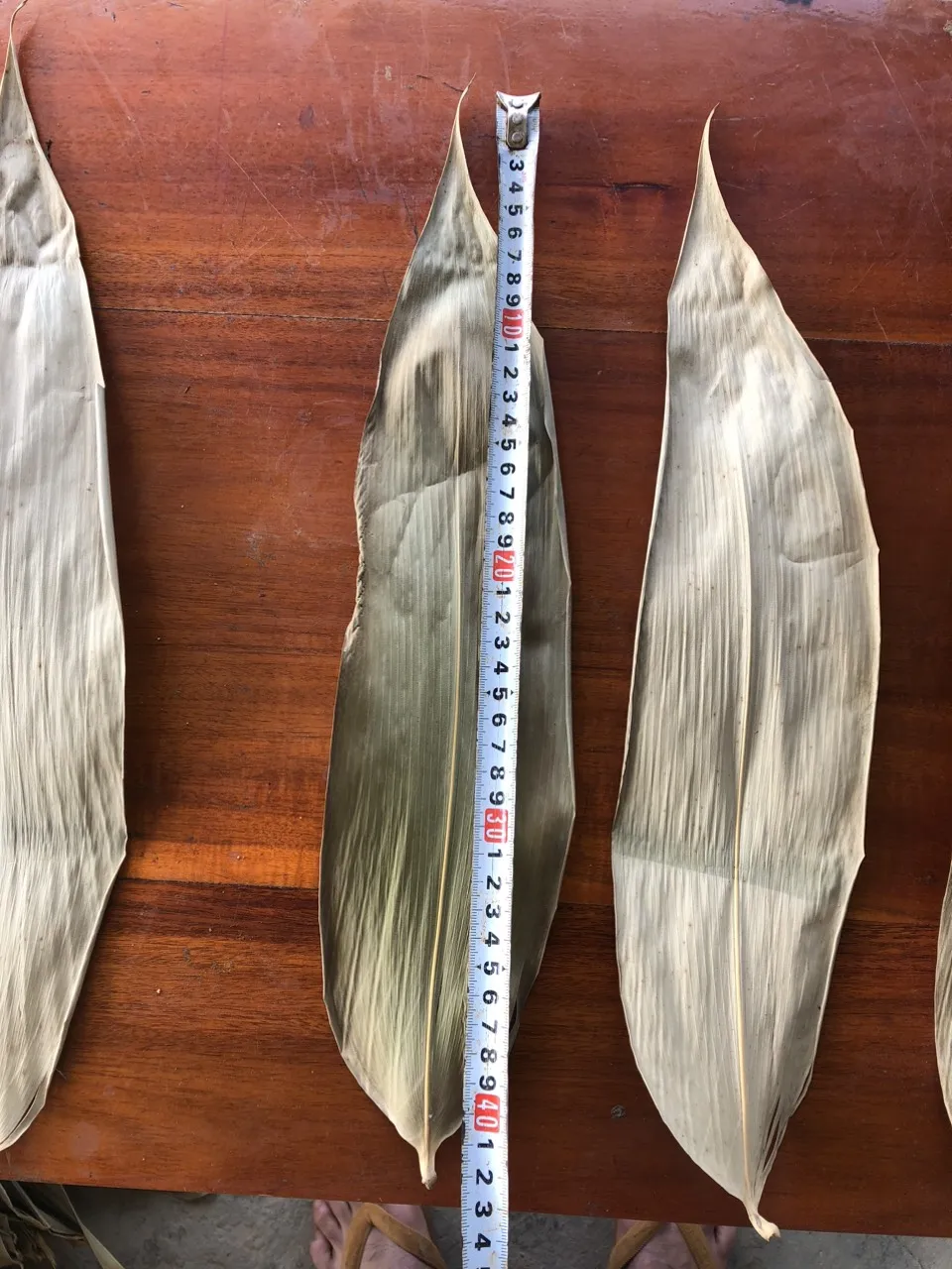 Wholesale Natural Organic Raw Dried Bamboo Leaves Vietnam Original Wild ...