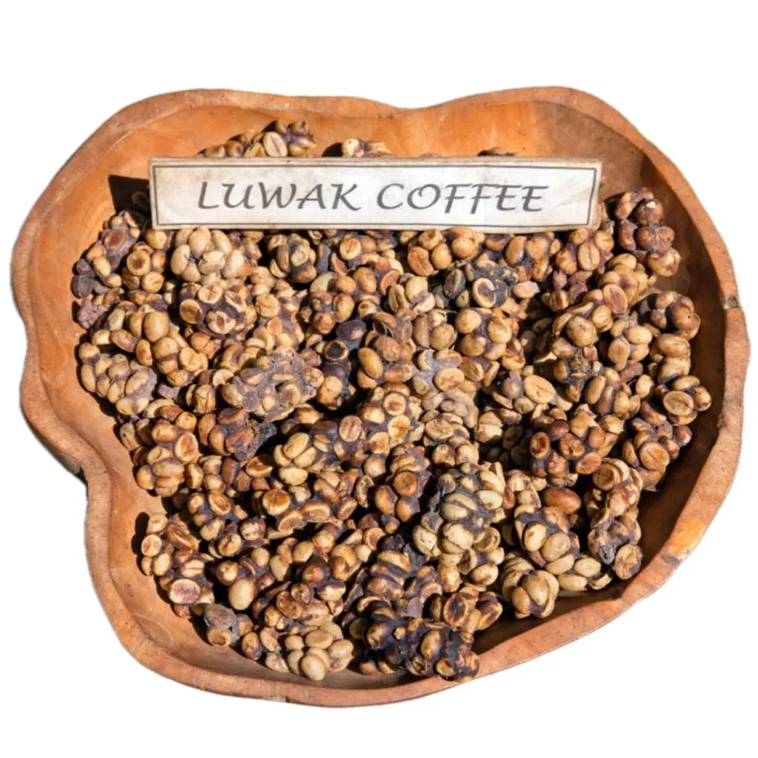 Wild Kopi Luwak Coffee Price Kopi Luwak Green Coffee Indonesia Buy Premium Civet Kopi Luwak ...