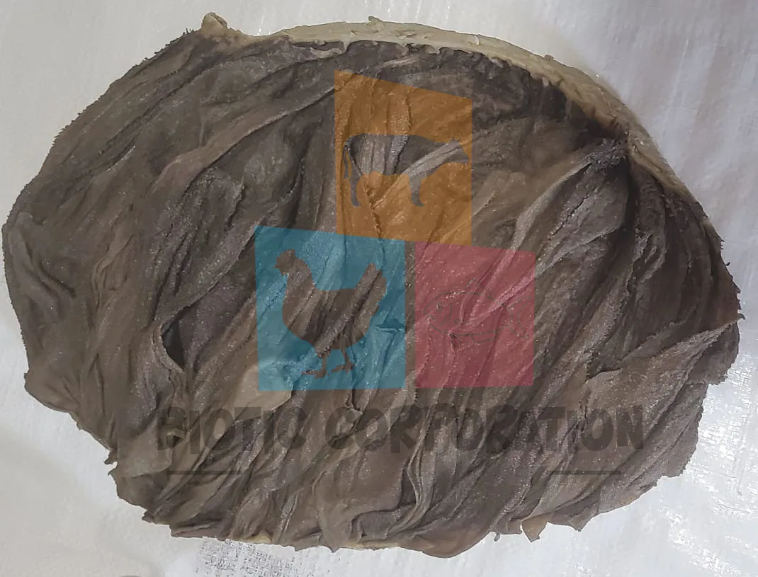 Dried And Salted Beef Omasum Best Supplier And Manufacturer From ...