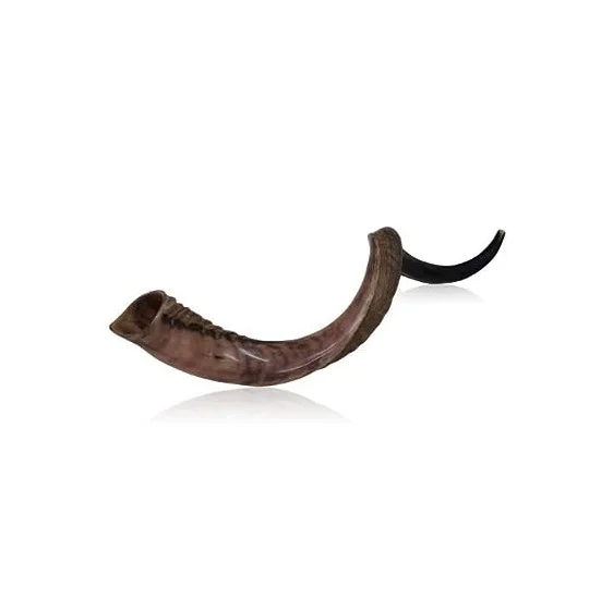 Handcrafted Kosher Ram Shofar Musical Horn Anti Odor Spray Decorative ...
