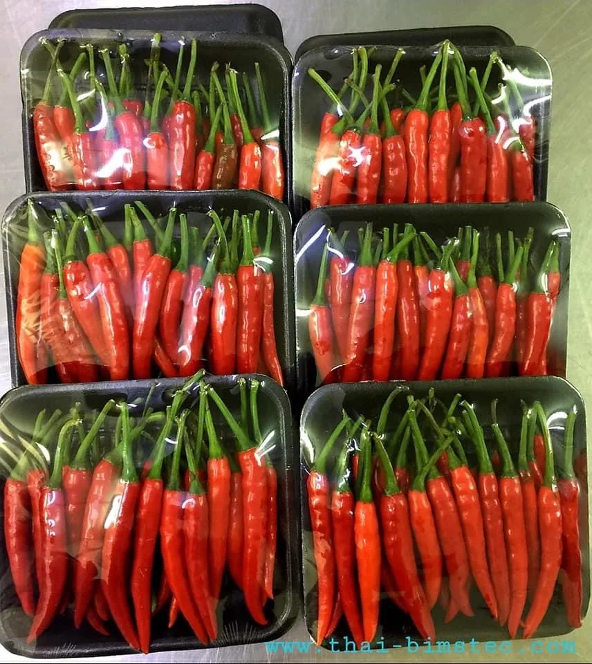 Cabai Merah Thailand Dari Thailand - Buy Sayuran Merah Cabe Thailand ...